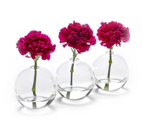 Caterpillar Clear Vase